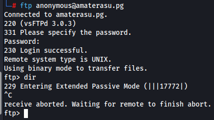 Proving Grounds - Amaterasu · Hacking Things